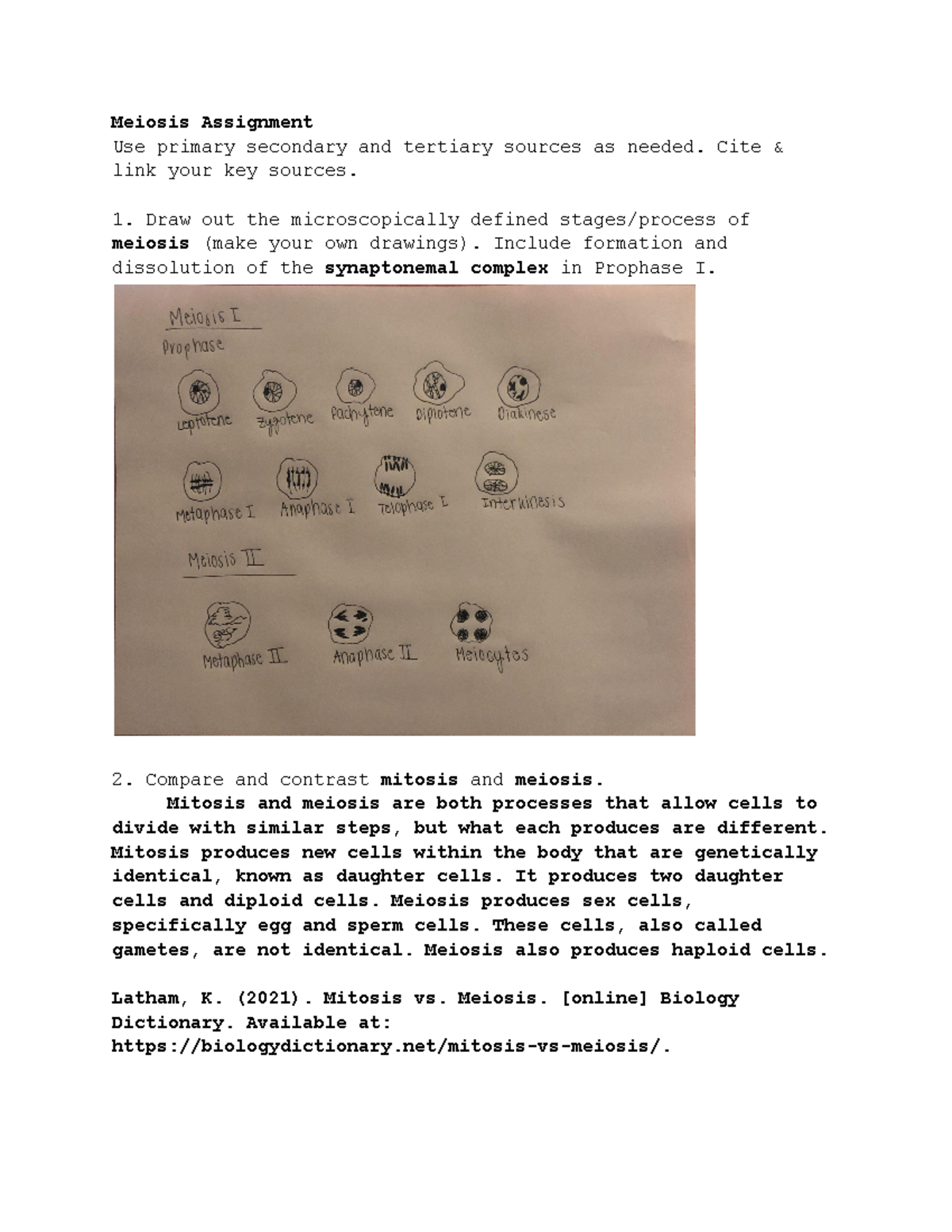 Meiosis Assignment - Professor Roy D. Magnuson - Meiosis Assignment Use ...