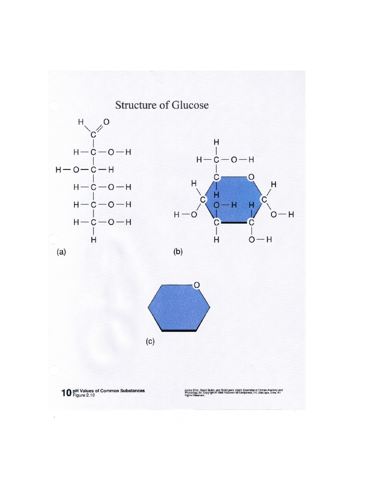 AP Biochemistry Structures - SCB 203 - Studocu