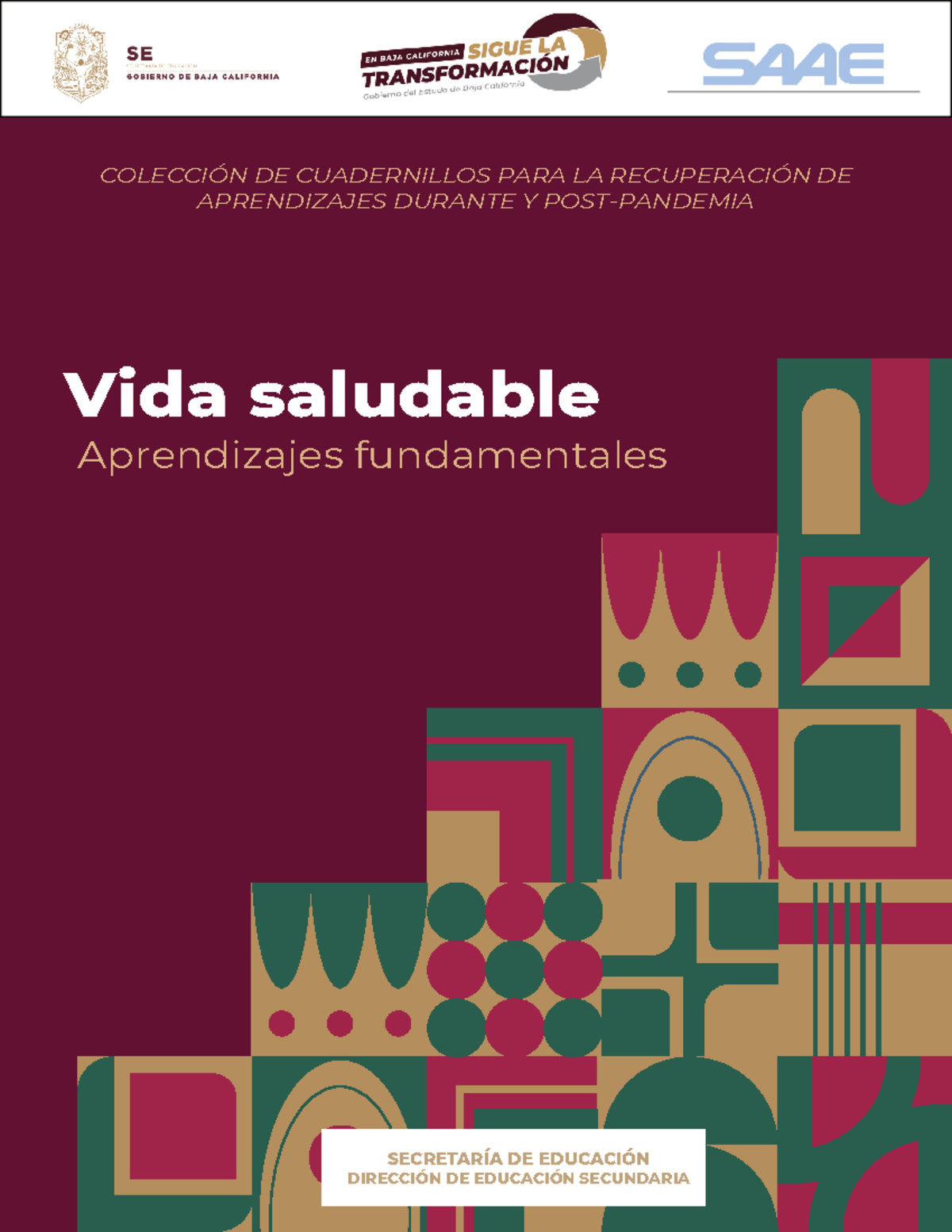 Vida saludable - Vida saludable COLECCI”N DE CUADERNILLOS PARA LA RECUPERACI”N DE APRENDIZAJES ...