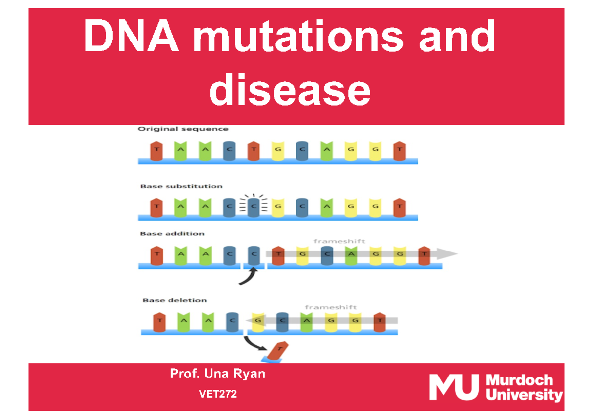 4 DNA mutations and Disease pptx - DNA mutations and disease Prof. Una ...