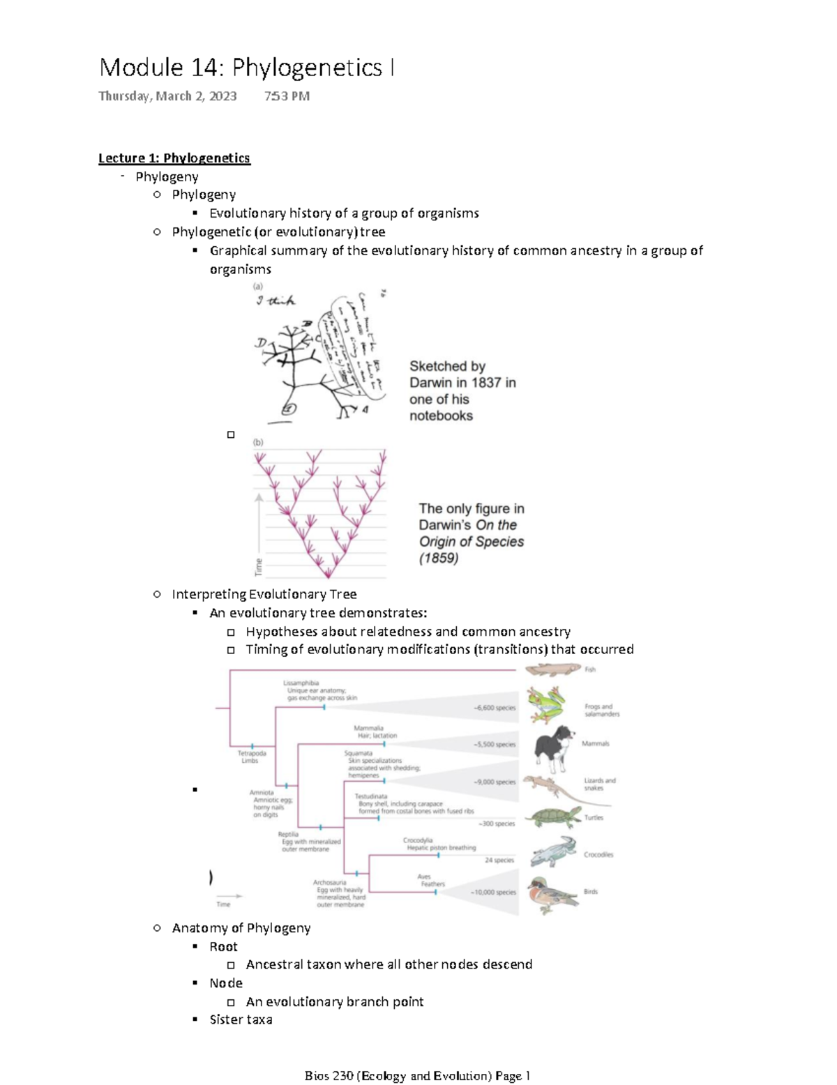 Bios 230 (Ecology and Evolution) Module 14 - Lecture 1: Phylogenetics ...