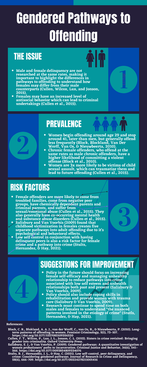 Infographic Paper - Gender and Crime - The infographic, Gendered ...