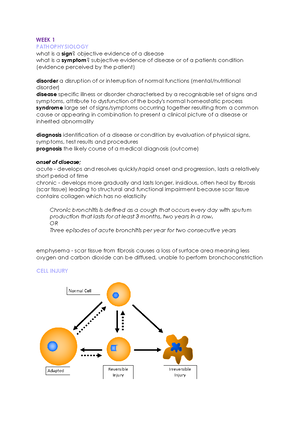 Practical hand hygiene competency audit tool - Hand Hygiene Competency ...