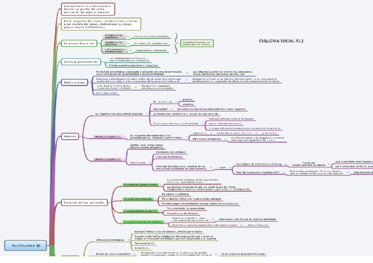 Esquema Social P - Psicología Social - ESQUEMA SOCIAL P. - Studocu