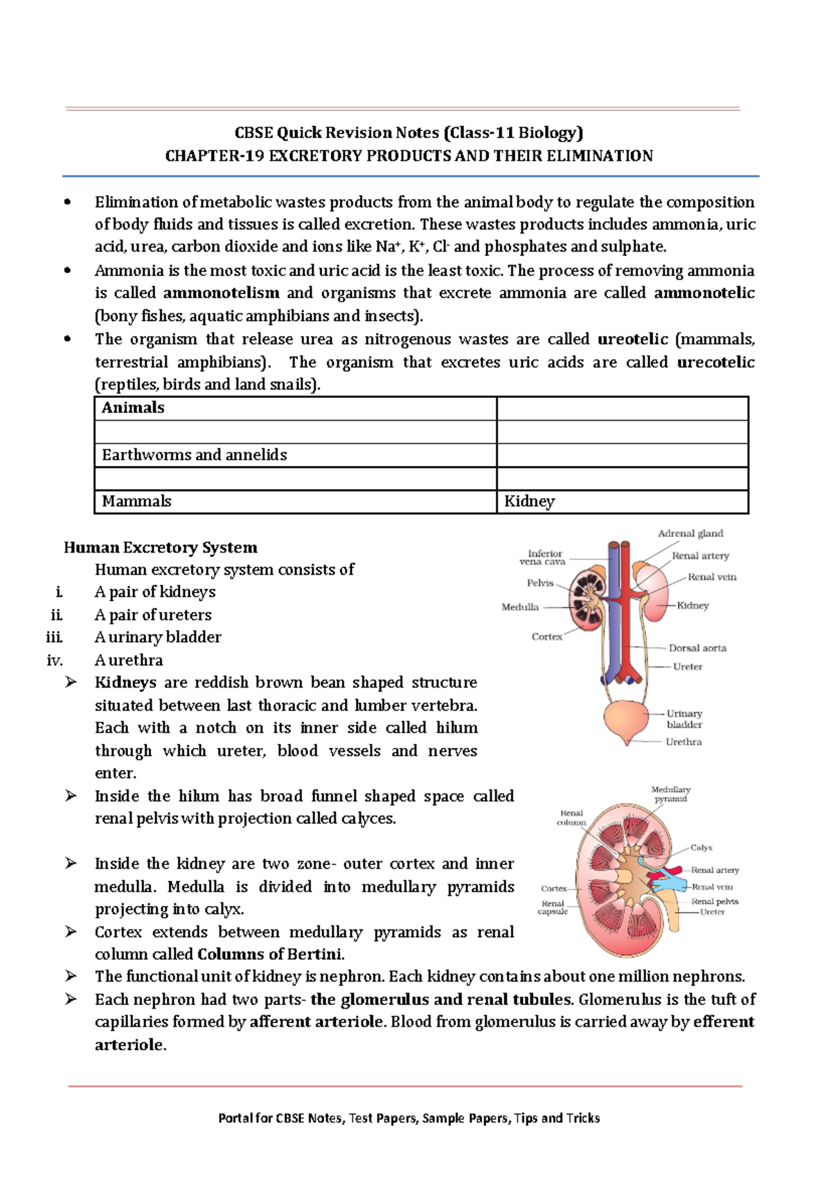 11 biology notes ch19 excretory products and their elimination - Portal ...