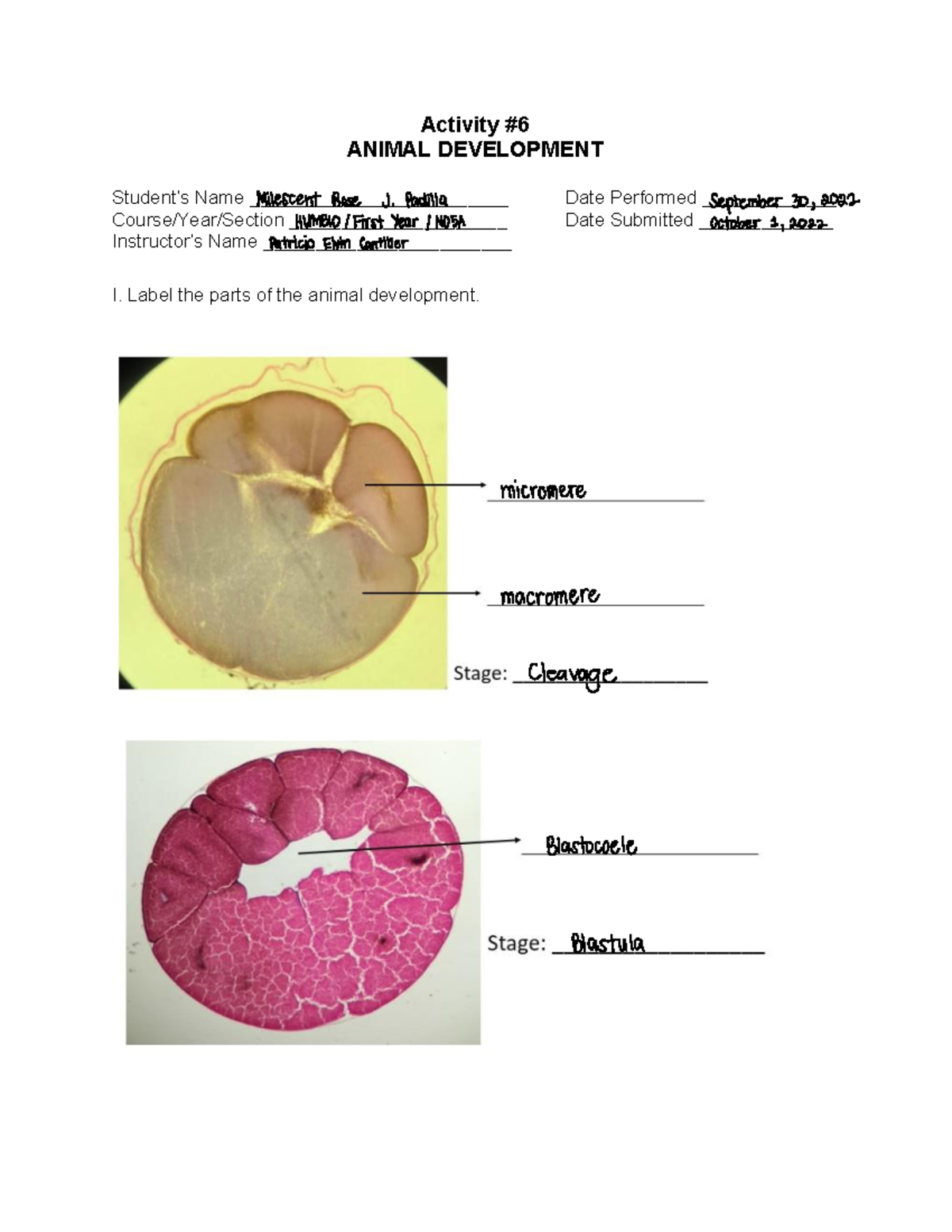 Lbygezo N05A Padilla, Milescent ROSE ACT 6 - Activity ANIMAL ...