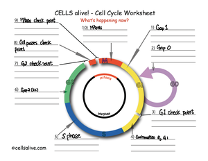 Identifying Micrococcus roseus - Ticket to Class: Journal/Organizations ...