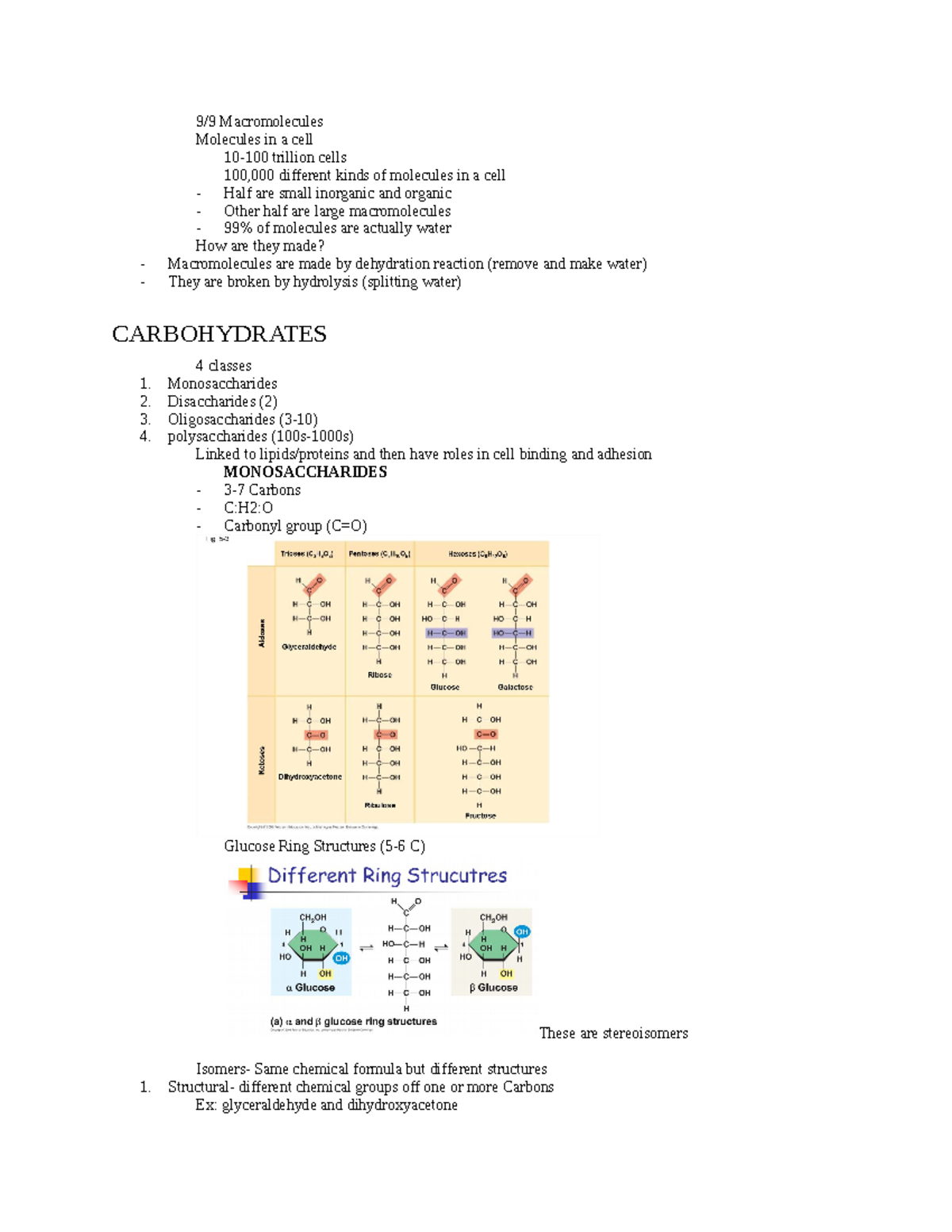 Biology Lecture Notes before exam 1 - 9/9 Macromolecules Molecules in a ...