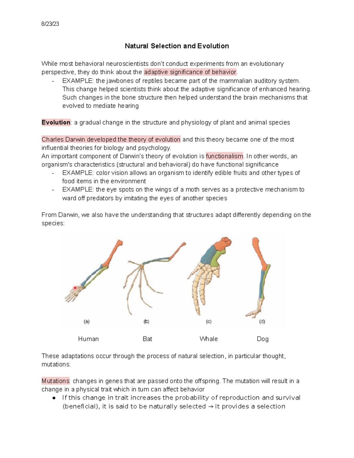 Ch. 1, Part 2: Natural Selection and Evolution - 8/23/ Natural ...