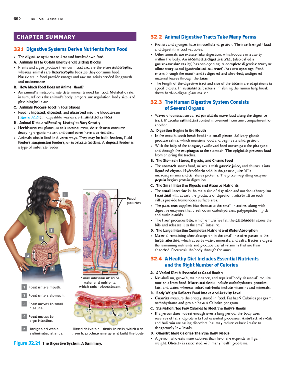 Biology Concepts and Investigations, Chapter Thirty-Two Reciew ...