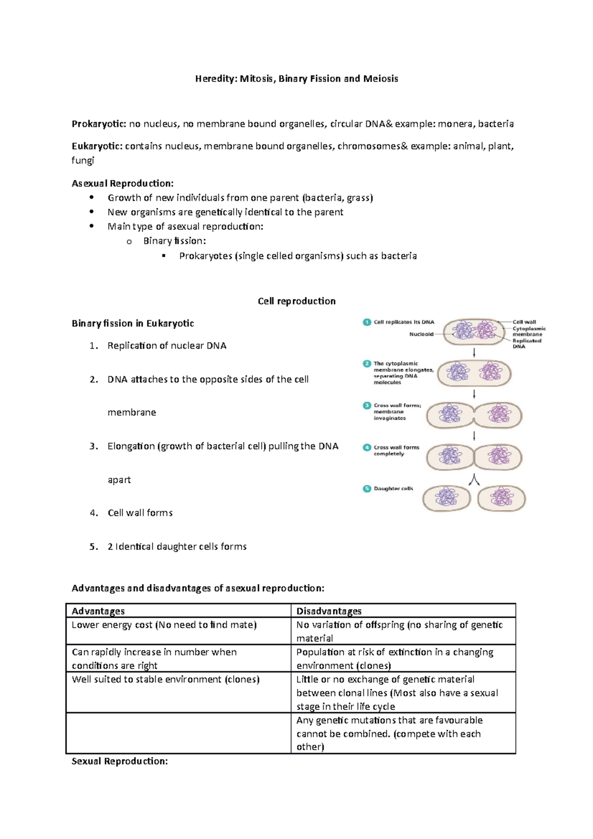 Mitosis and Asexual reproduction - Heredity: Mitosis, Binary Fission ...
