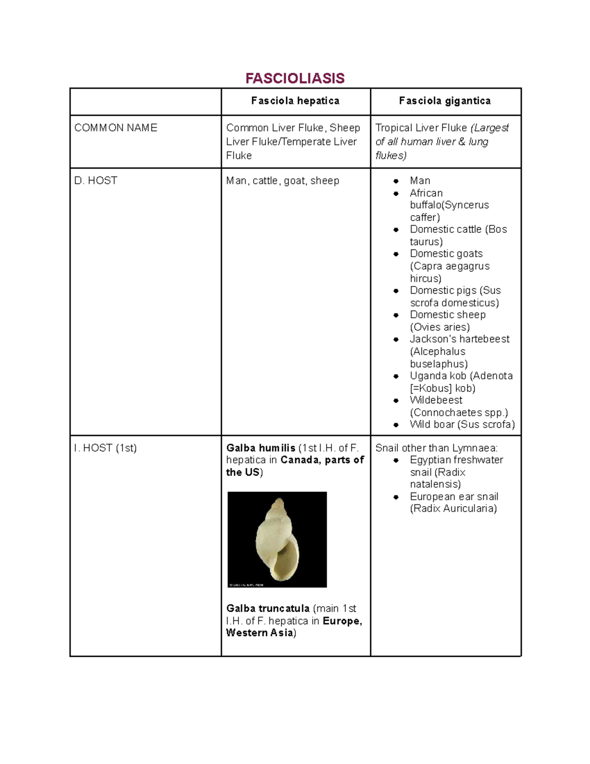 Liver Flukes - Goodluck - FASCIOLIASIS Fasciola hepatica Fasciola ...