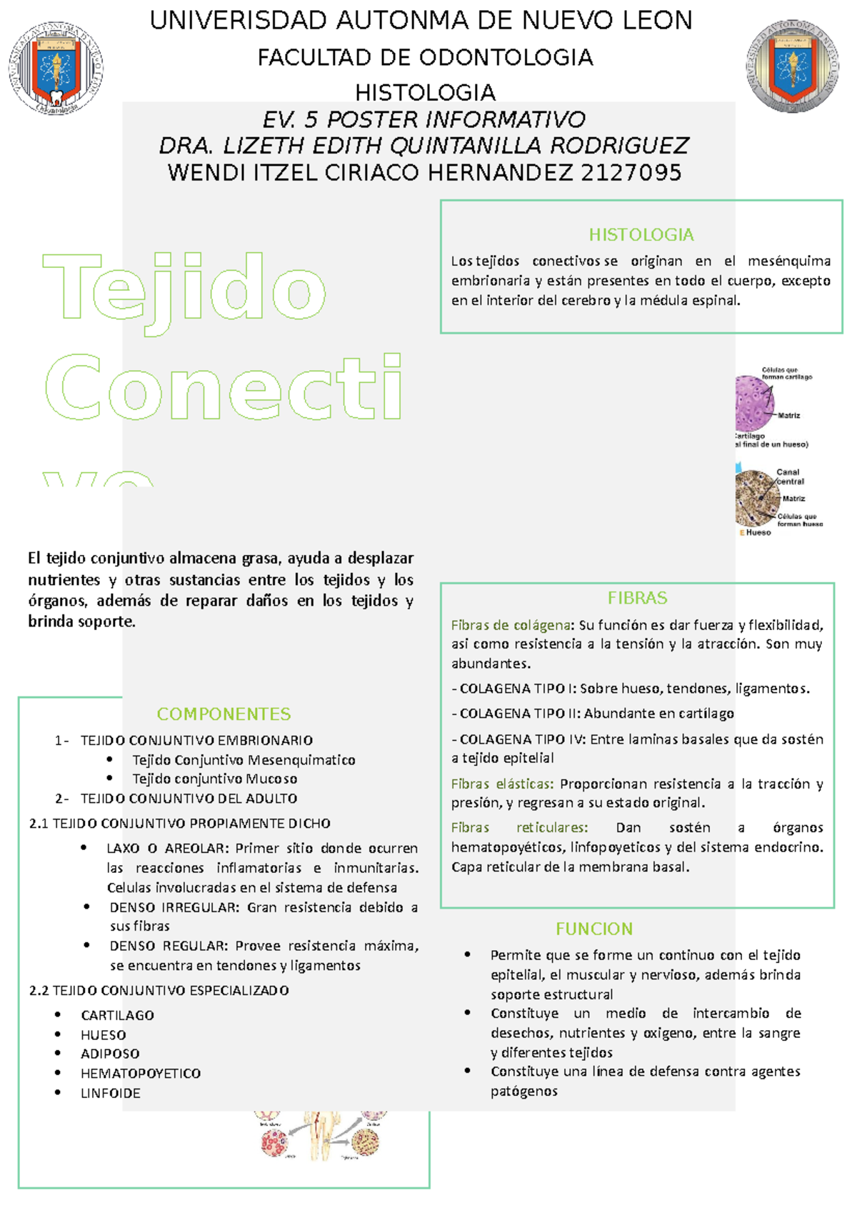 Cartel HISTO - efefefef - UNIVERISDAD AUTONMA DE NUEVO LEON FACULTAD DE ...