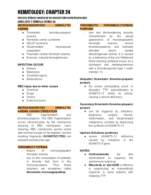Transes Sombilla 23 - MEDTECH HEMA - ANGEL LOYD T. SOMBILLA/BMLS-3A ...
