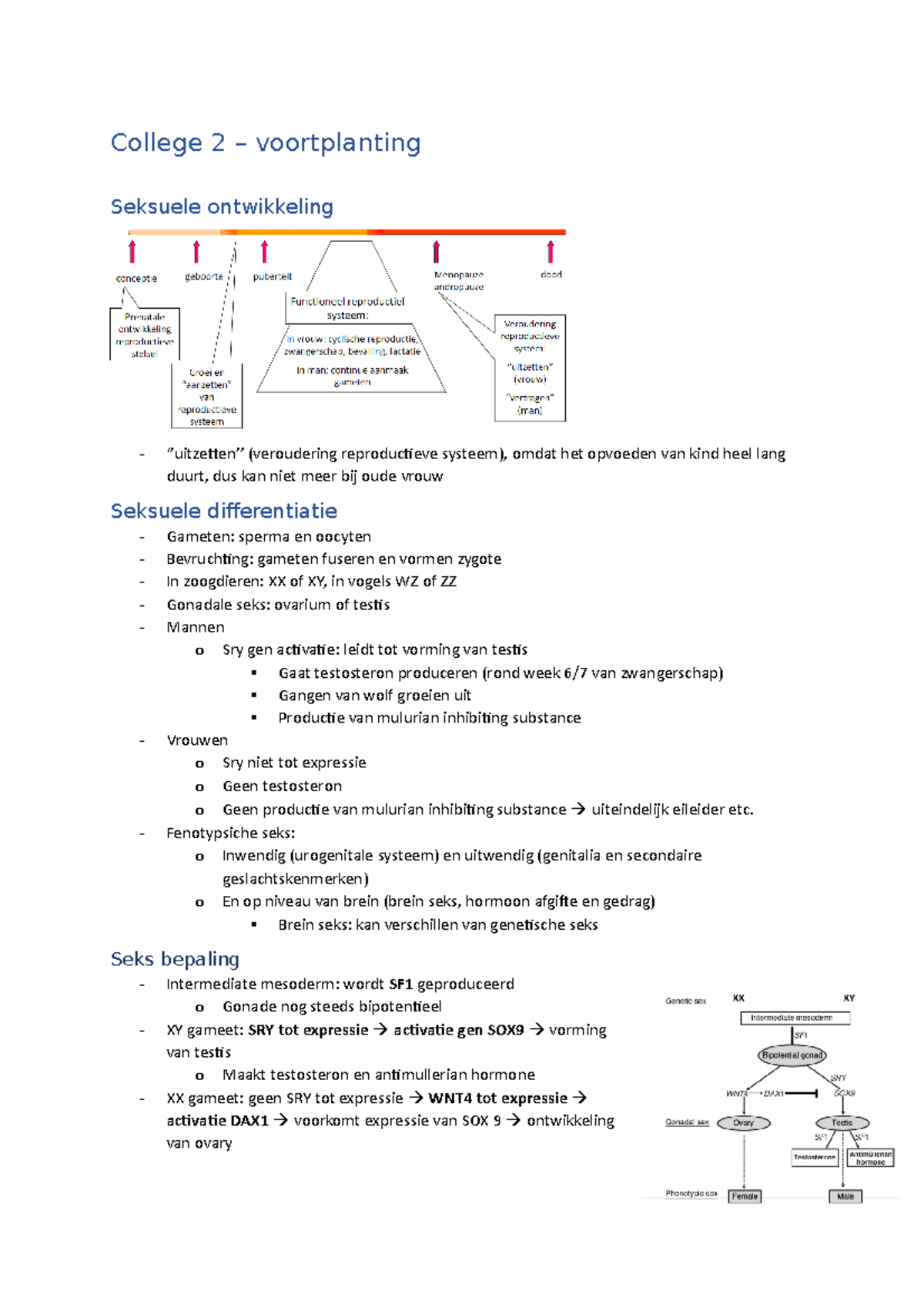 HAP college 2 - College 2 – voortplanting Seksuele ontwikkeling ...