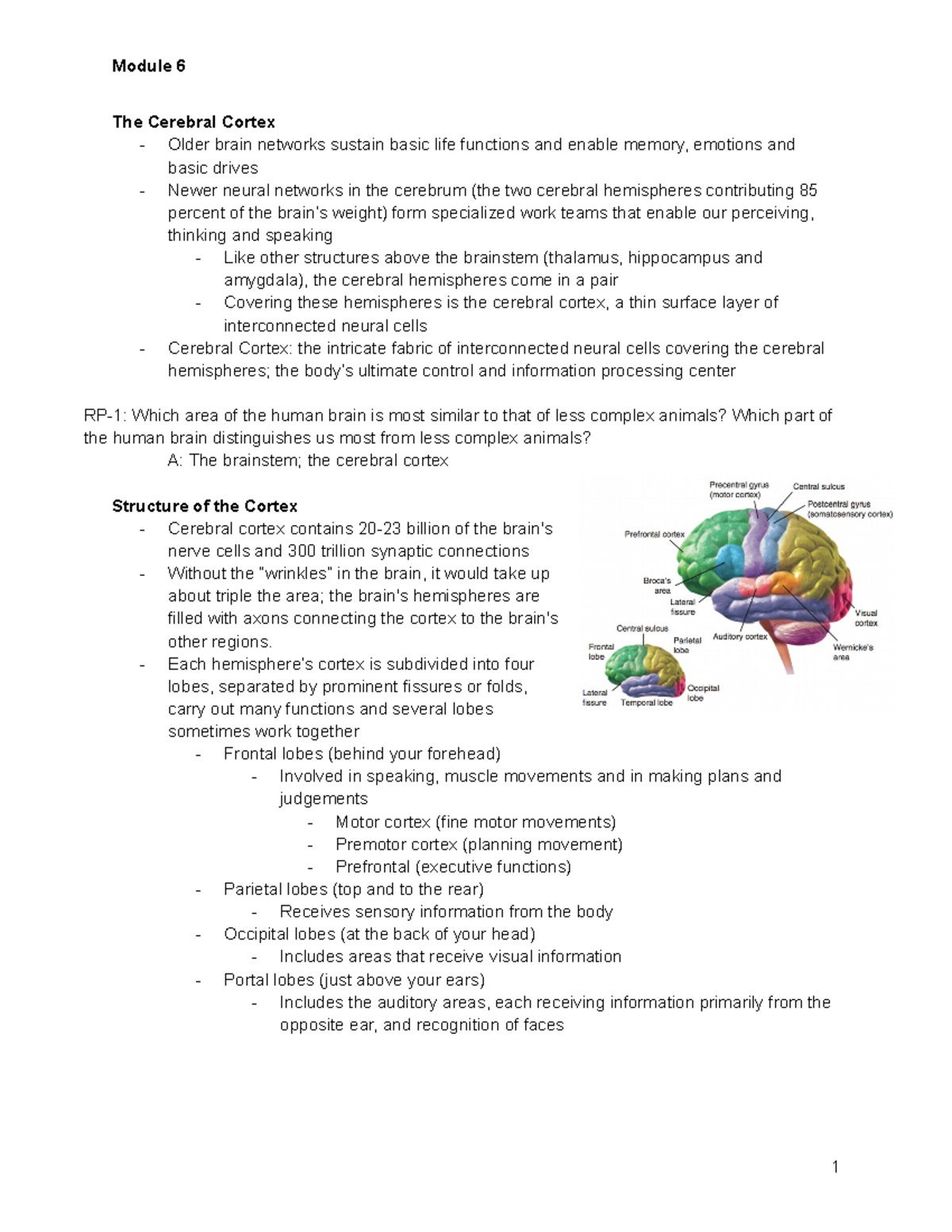 Psychology Module 6 - Module 6 The Cerebral Cortex - Older brain ...