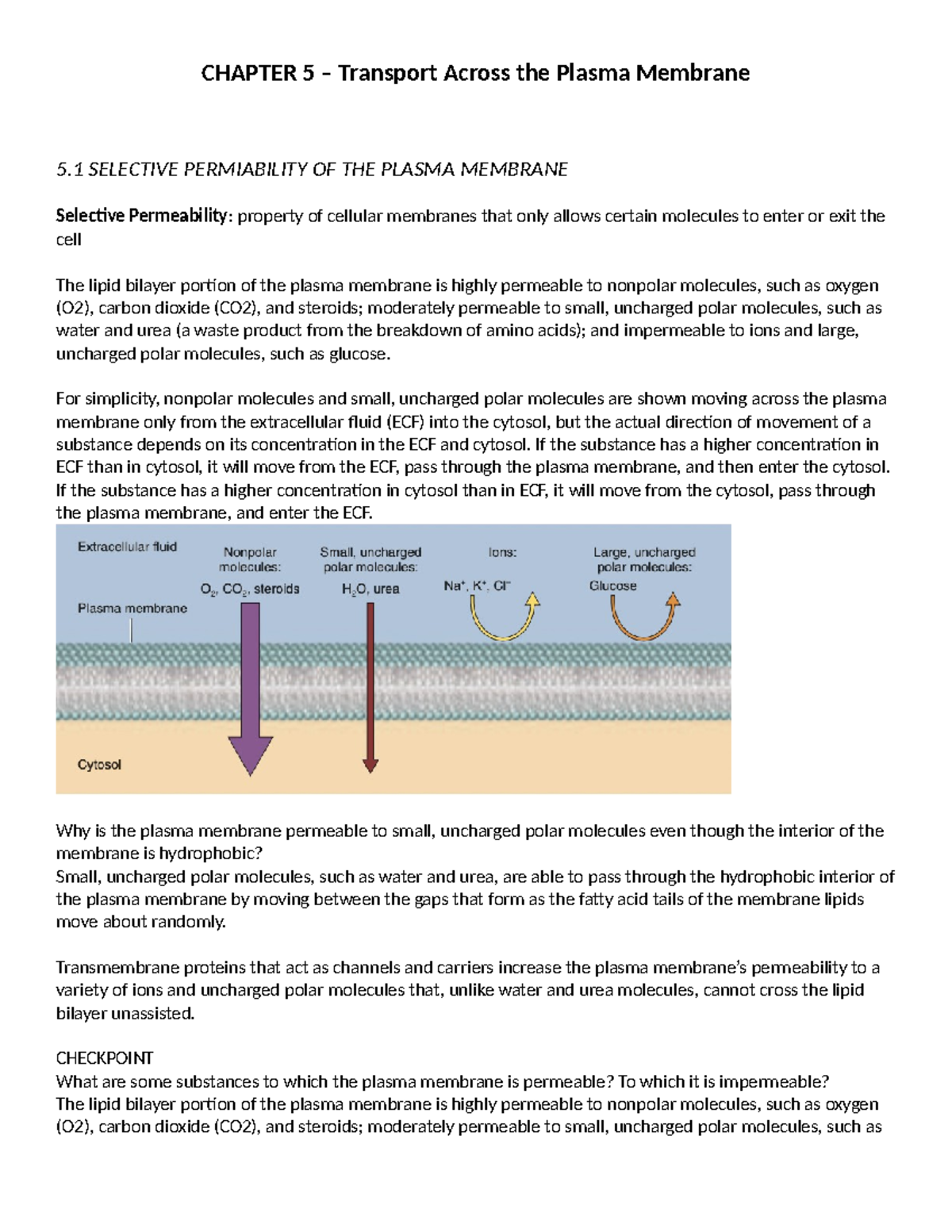 BIOL 230 - Unit 2 (Cp. 5-8) - CHAPTER 5 – Transport Across the Plasma ...