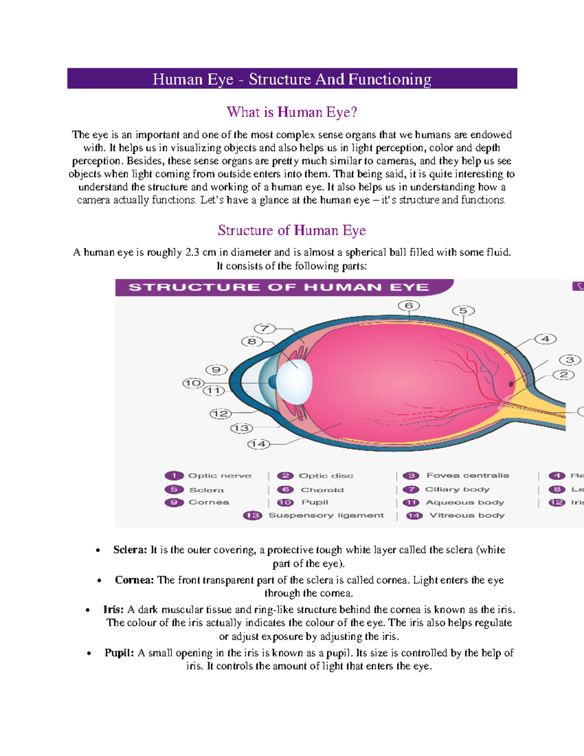 Human Eye - Structure And Functioning - It helps us in visualizing ...
