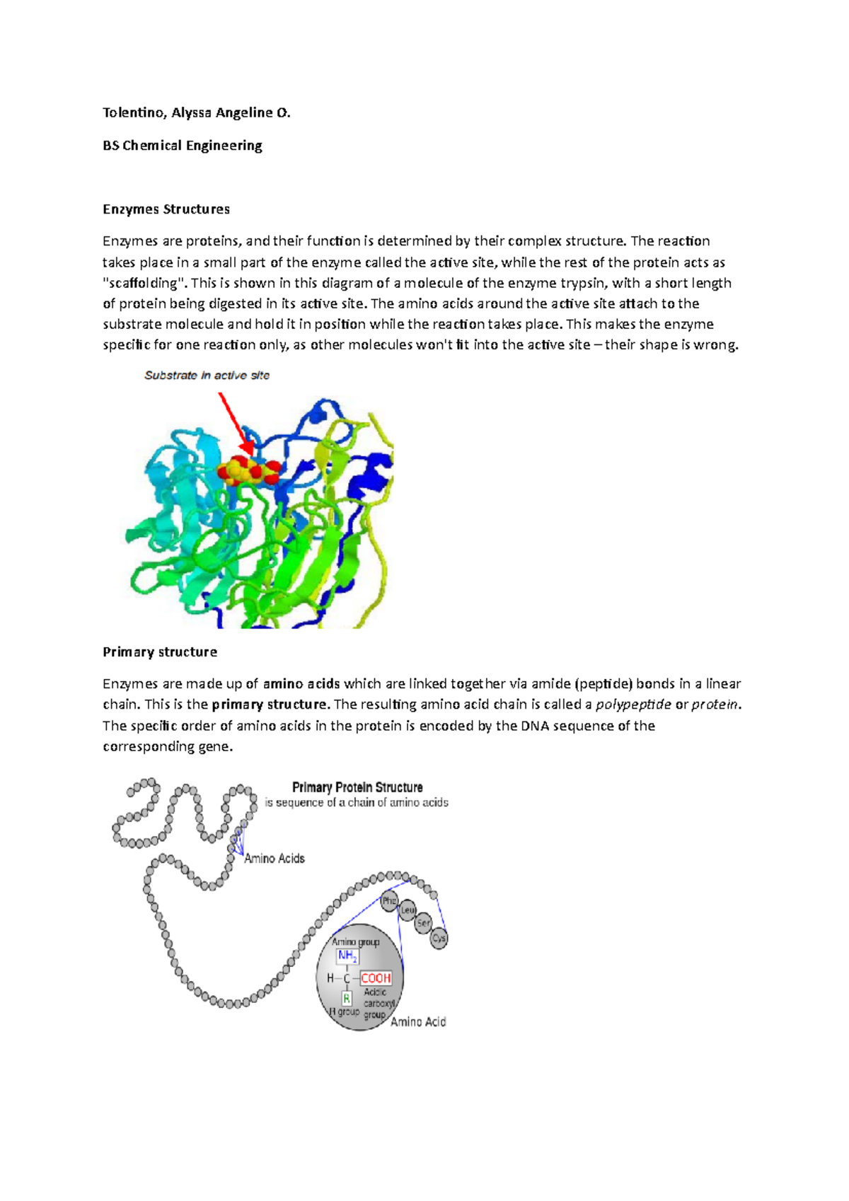 Structure of enzymes final - Tolentino, Alyssa Angeline O. BS Chemical ...