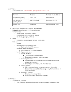 Worksheet 6 regulation lactase gene - Tagged - Key Concepts Eukaryotic ...