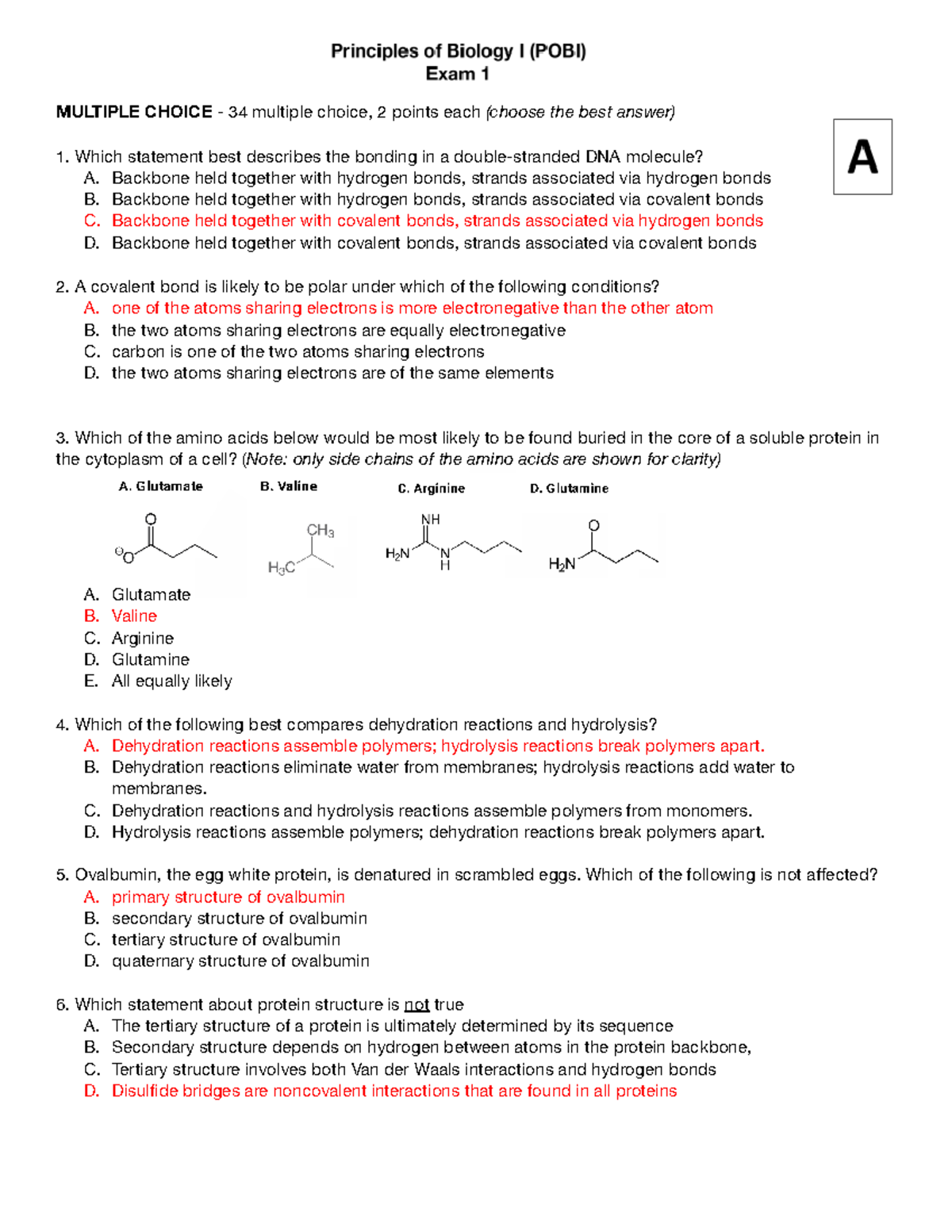 Exam 1A -KEY - Exam 1A Key for first midterm - MULTIPLE CHOICE - 34 ...