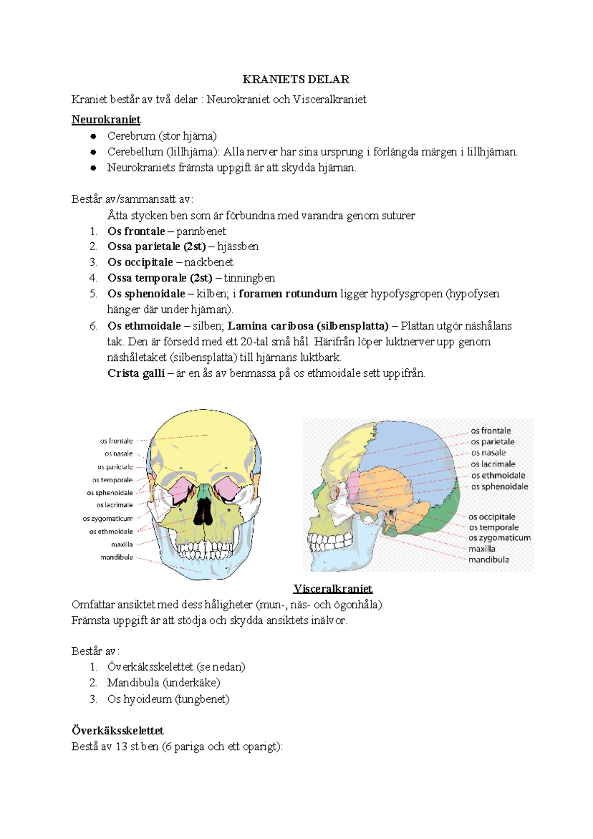 Kraniets Delar - Anatomi - KRANIETS DELAR Kraniet består av två delar ...