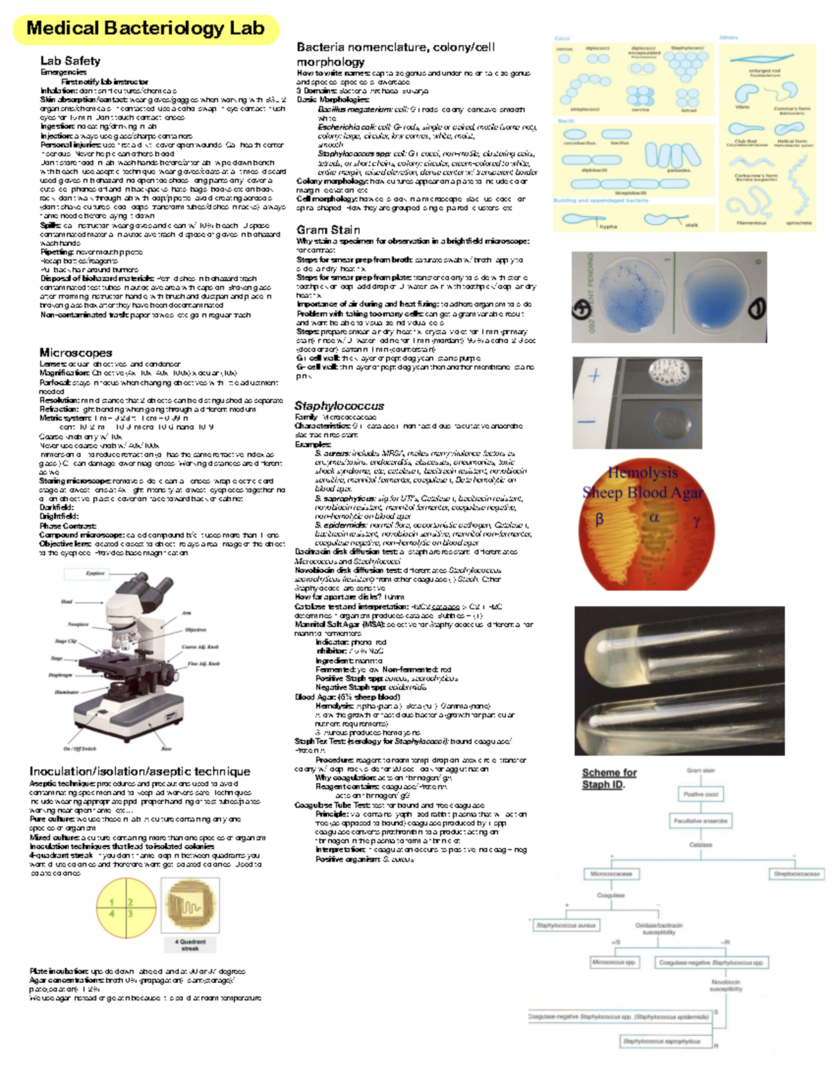 Med-Bac Lab Master - Overview of lab procedures. - Lab Safety ...