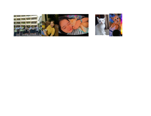 PR1 Chapter 1 - dgf2yrds - Chapter 1 THE PROBLEM Introduction One of the abilities that students ...