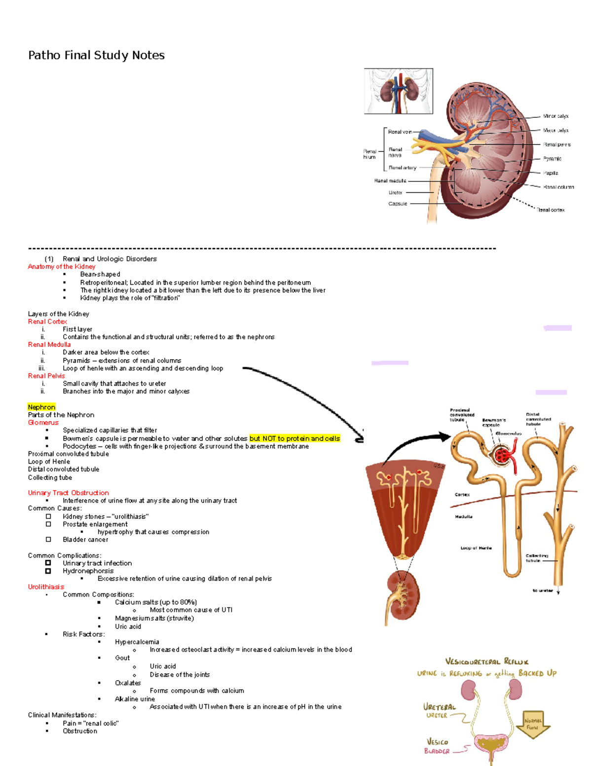 Patho Final Study Notes - Patho Final Study Notes - (1) Renal and ...