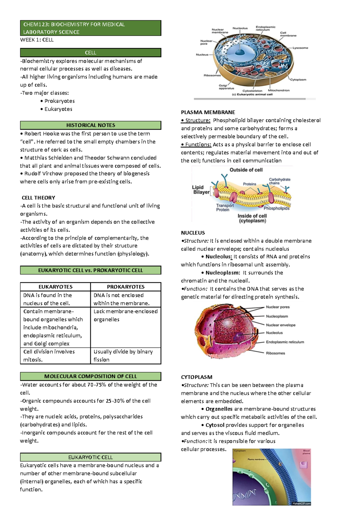 CHEM123-W1-CELL - notes - CHEM123: BIOCHEMISTRY FOR MEDICAL LABORATORY ...
