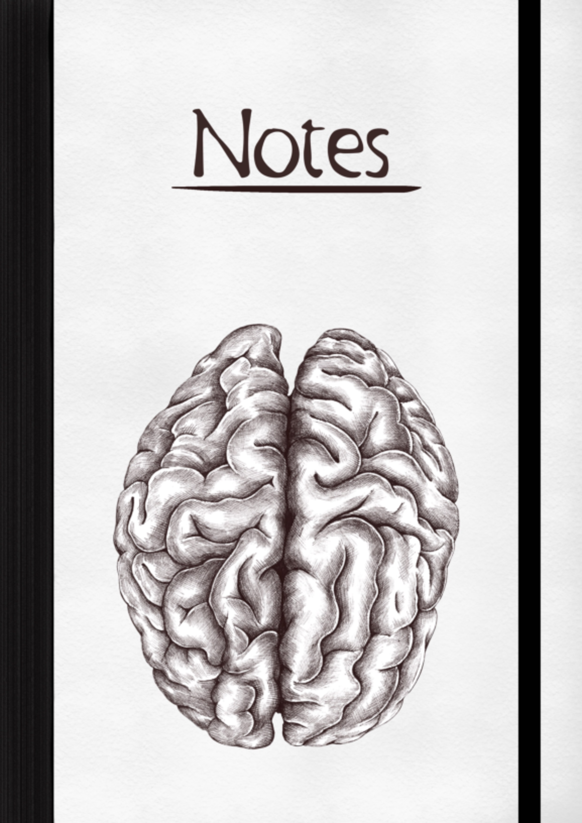 A&P 1 Notes - Chapter 1: The human body Anatomy: study of the structure ...