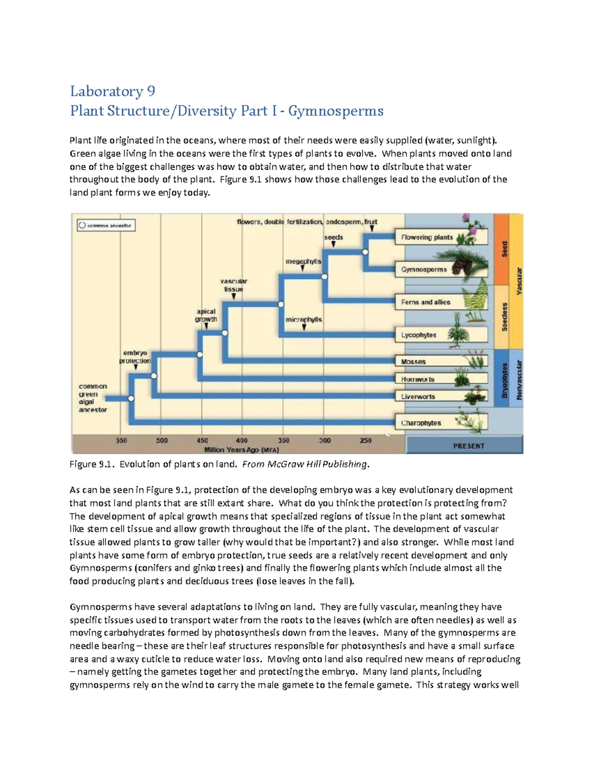 BIOL 100 Lab 9 - Plant Structure/Diversity Part 1 Gymnosperms ...