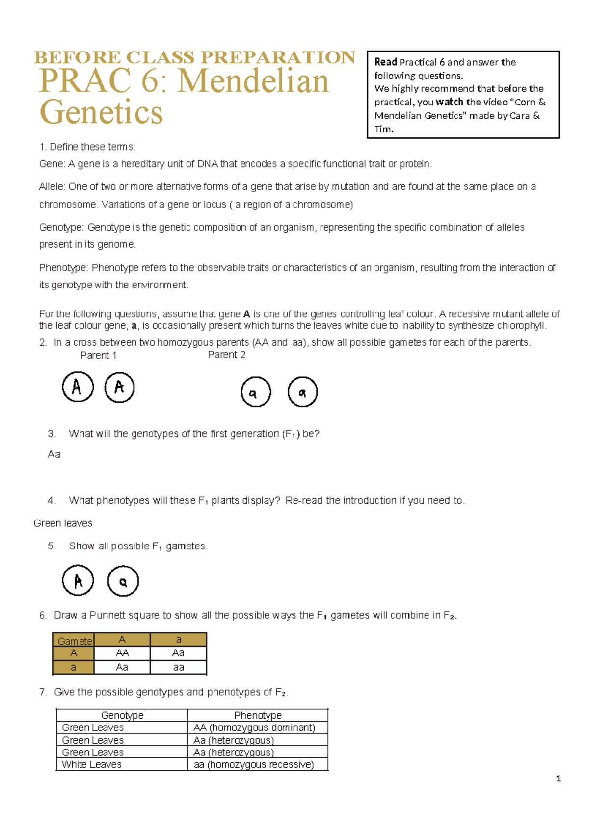 BIOL1020 Prac 6 - Mendelian Genetics - BEFORE CLASS PREPARATION PRAC 6 ...