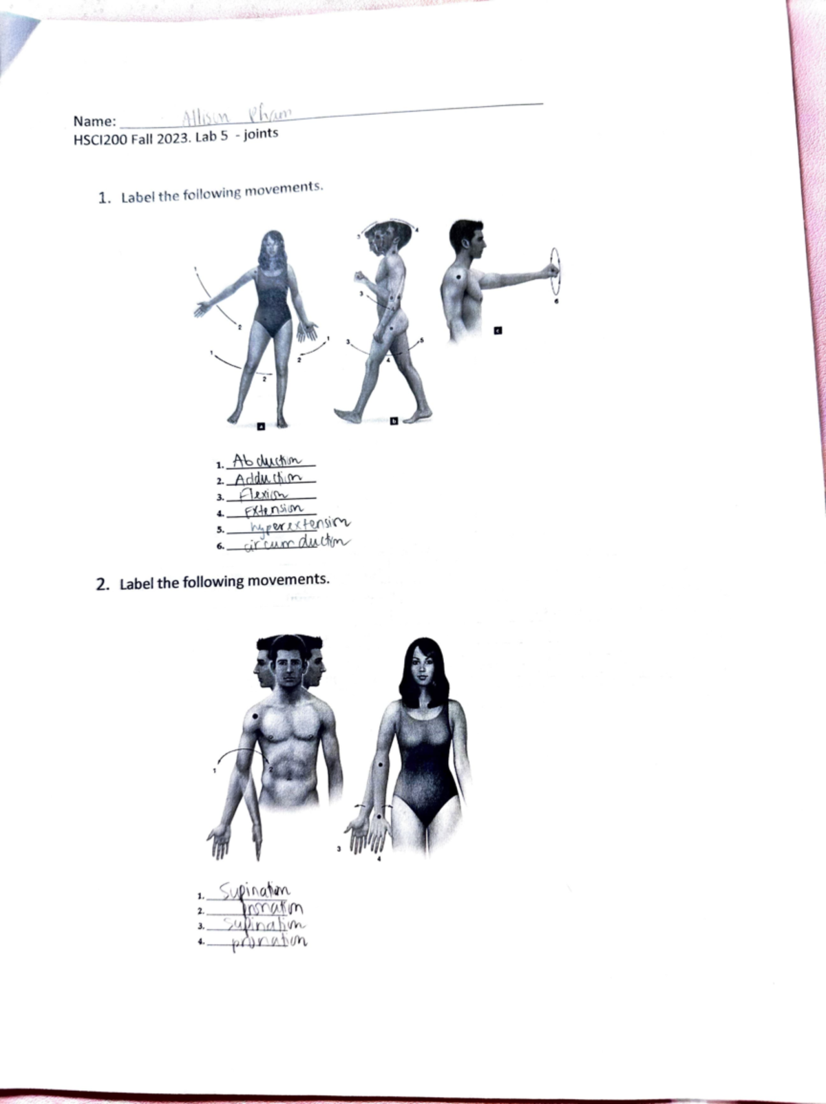 lab 3 body plane - Name : J\ 1 1).'\ d,ru, 1 HSCl200 Fall 2023. Lab 5 ...