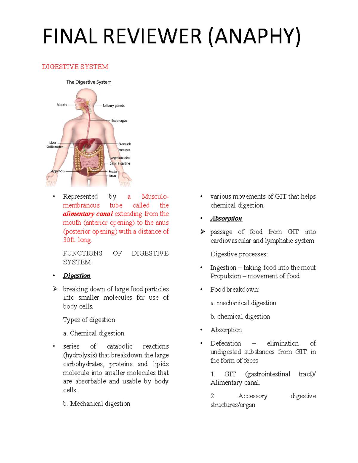 Reviewer Finals Anaphy - DIGESTIVE SYSTEM Represented by a Musculo ...