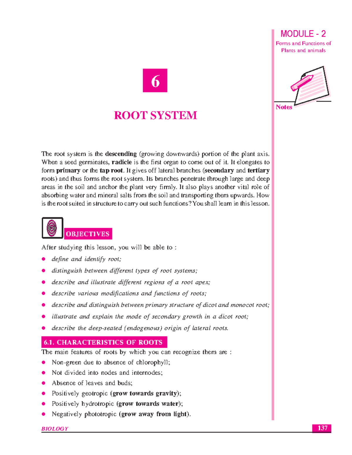 Root system - Plants - Notes Forms and Functions of Plants and animals ...