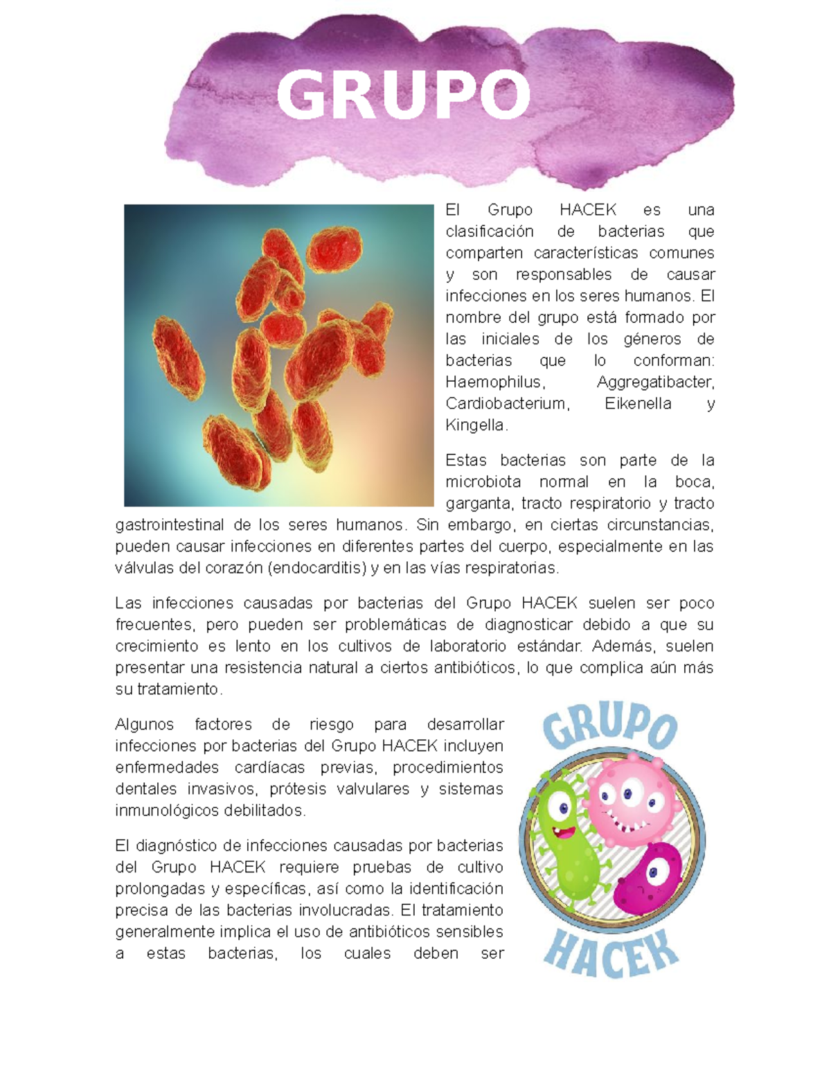 Investigaciones Nutricion Parte 2 - El Grupo HACEK es una clasificación de bacterias que ...