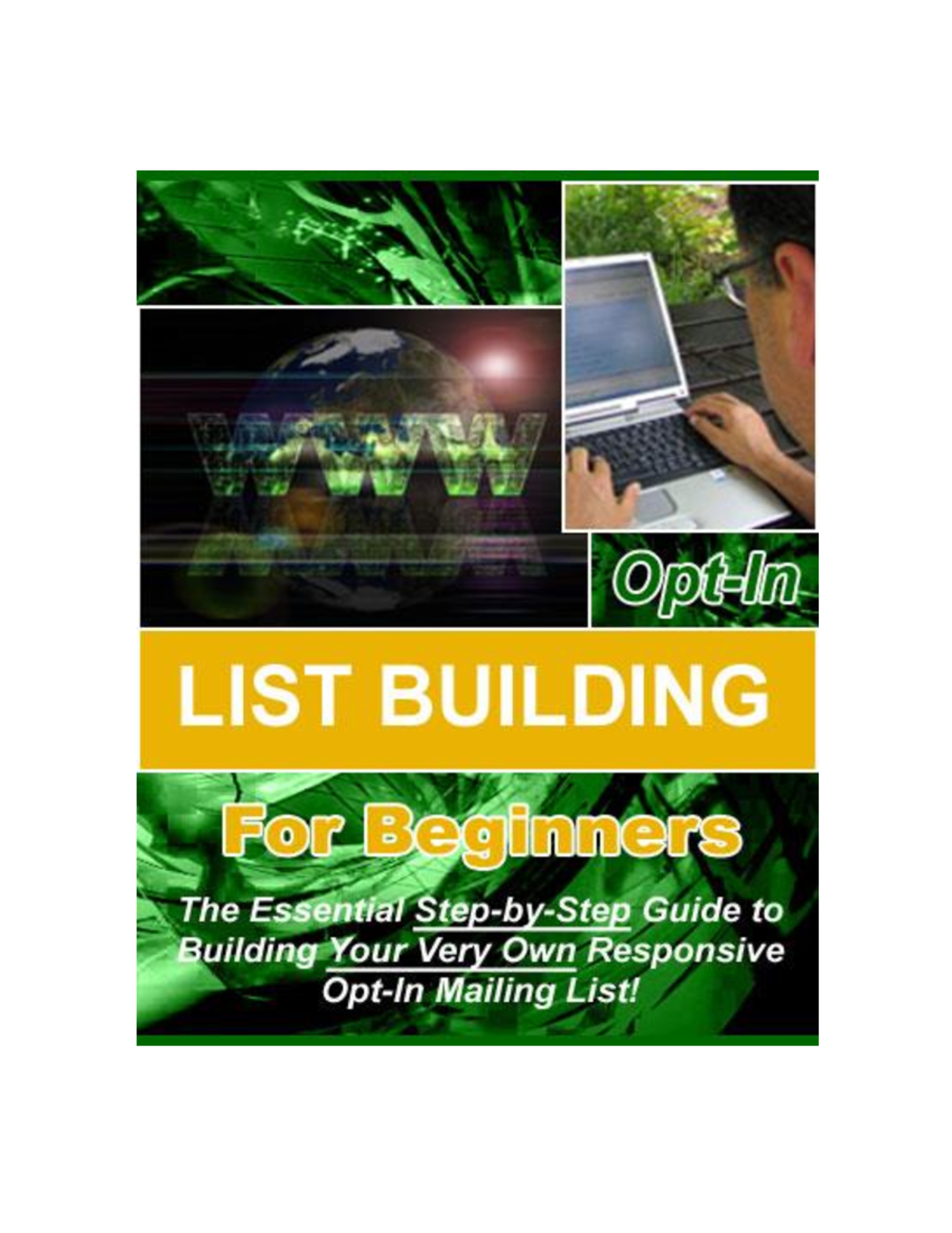 Opt-in List Building for Beginners - While all attempts have been made ...