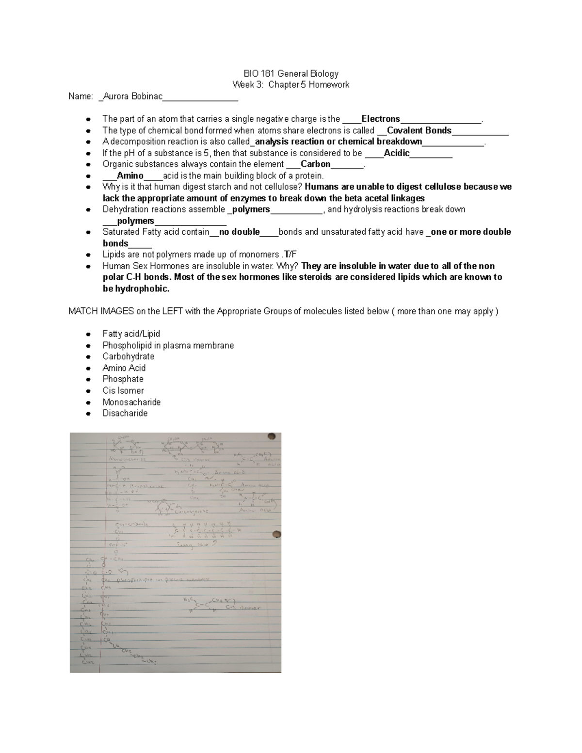 BIO 181 Chapter 5 HW - BIO 181 General Biology Week 3: Chapter 5 ...