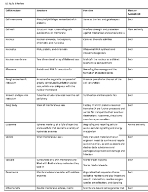 490521532 copy of u4l08 activity guide conditionals make unit 4 lesson ...