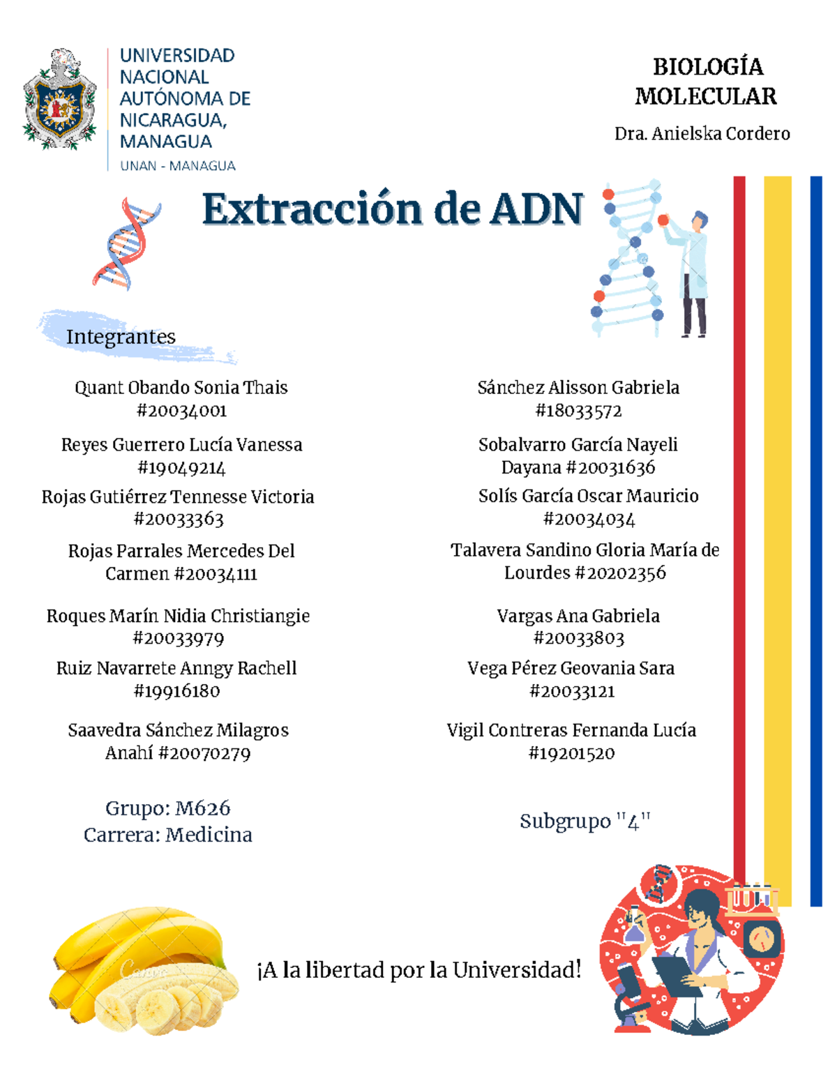 Extracción de ADN de una banana - Saavedra Sánchez Milagros Anahí ...