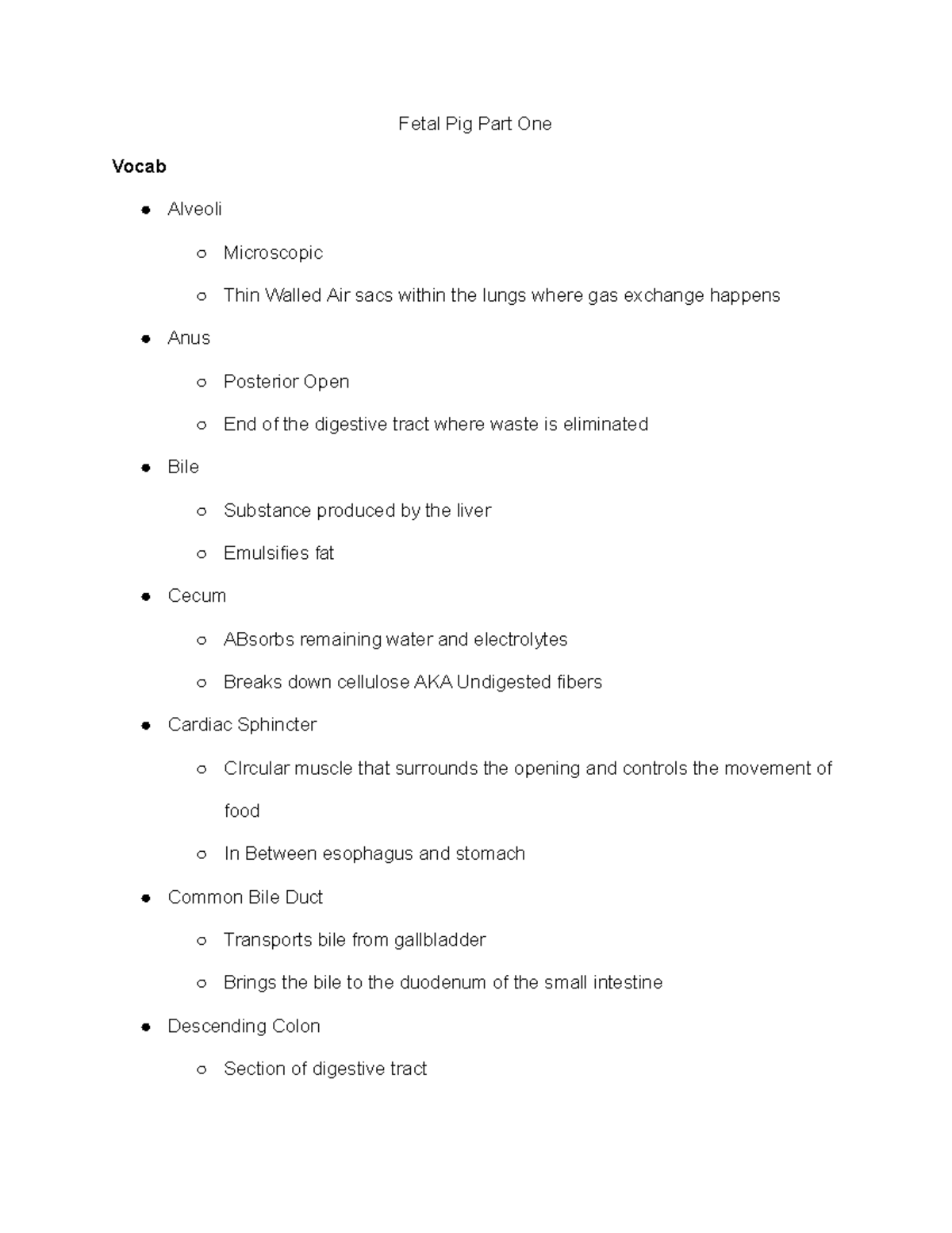 Fetal Pig Part One - Fetal Pig Part One Vocab Alveoli Microscopic Thin ...