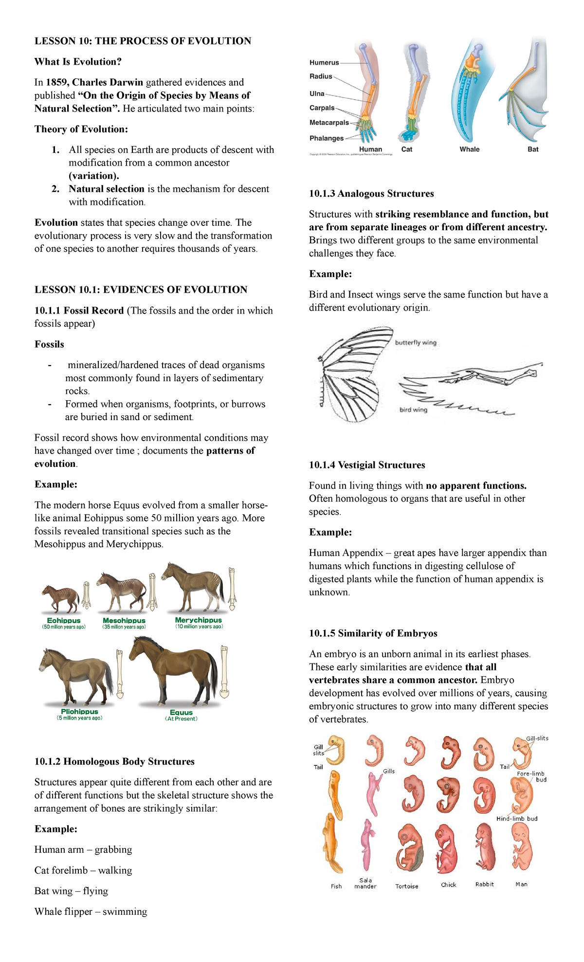 Earth and Life Science- Lesson 10-11 - LESSON 10: THE PROCESS OF ...