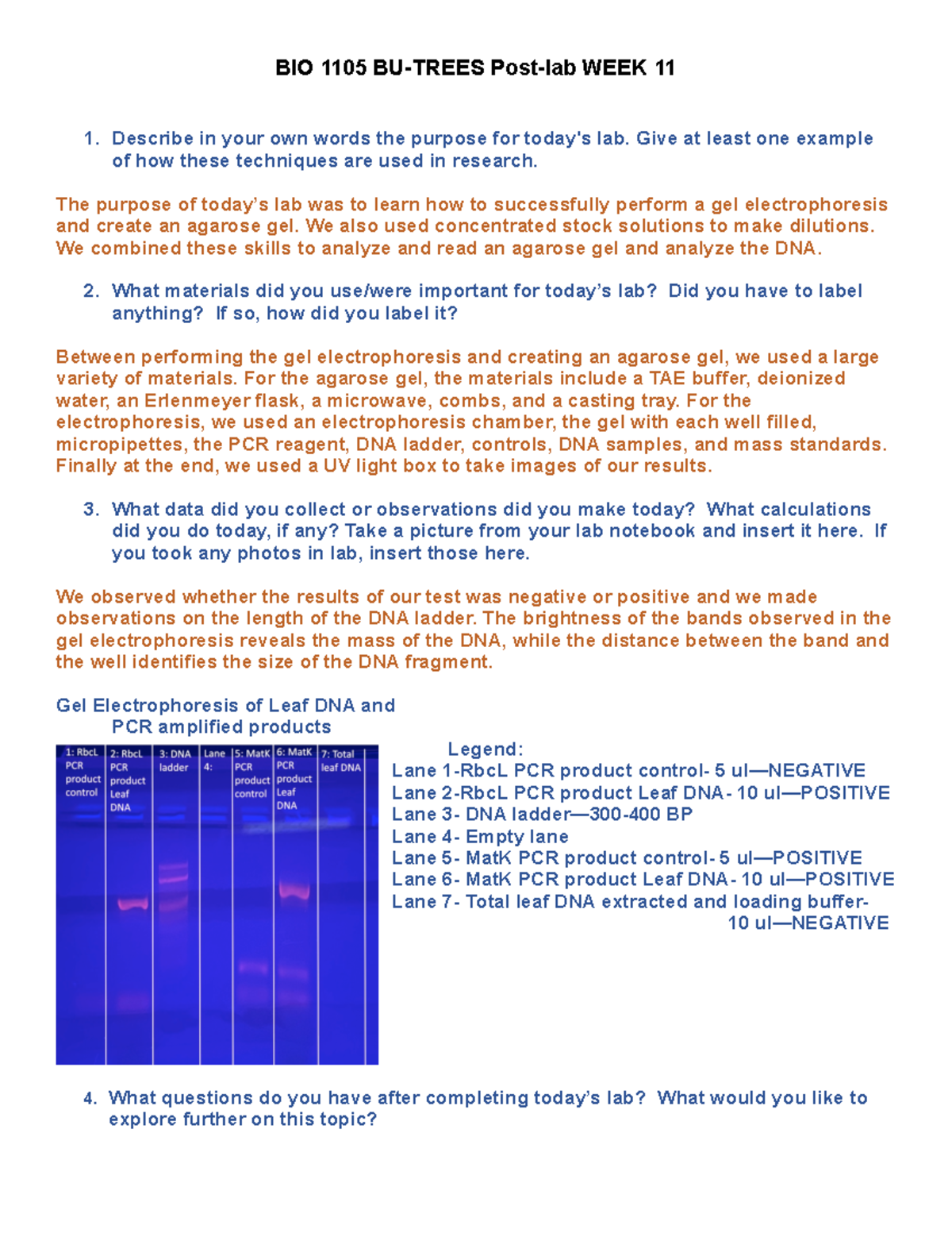 BU- Trees Post-lab Week 11 - BIO 1105 BU-TREES Post-lab WEEK 11 ...