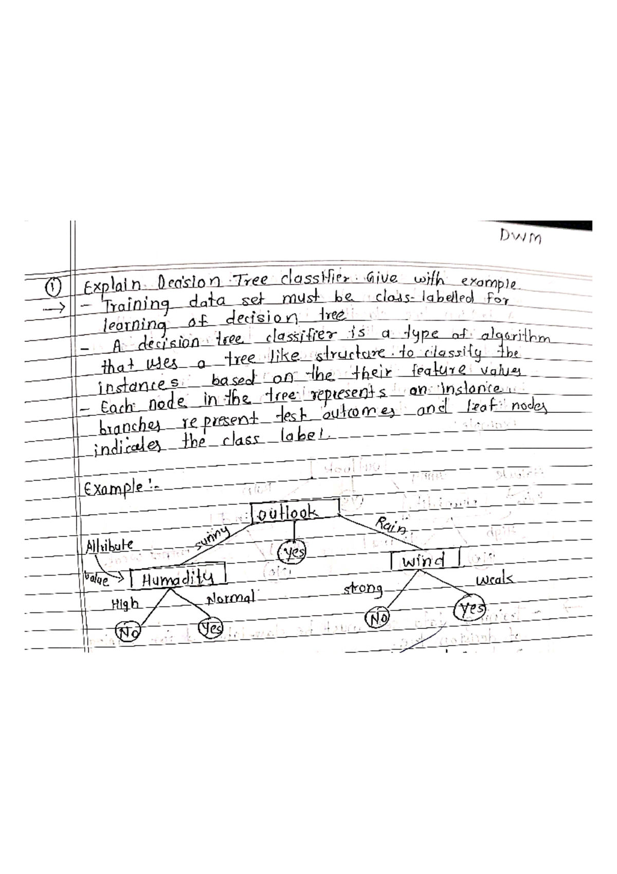 DWM - It's few questions - DWM 1 Explain Decision Tree classifier Give ...