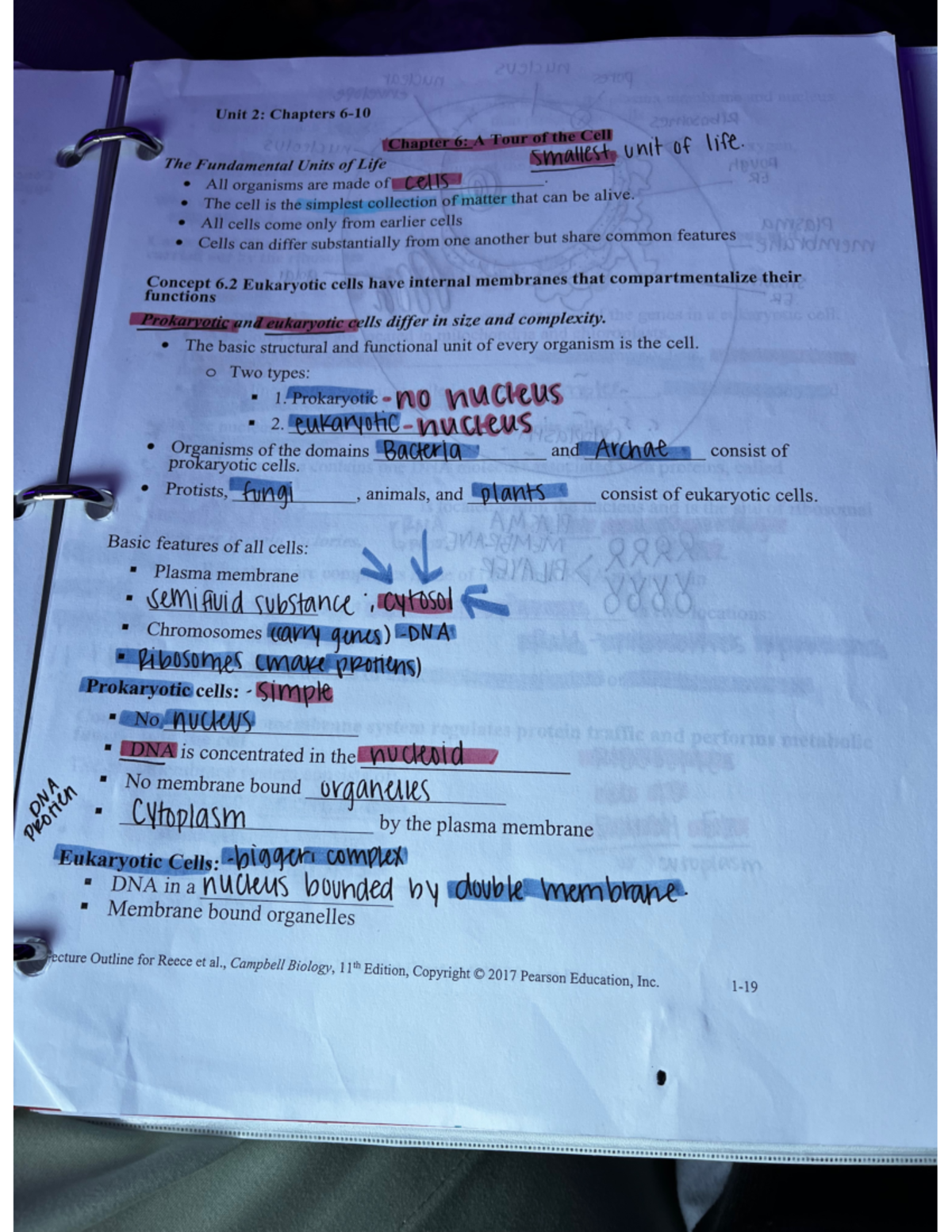 15 - biology lecture notes - BIO1134 - Studocu