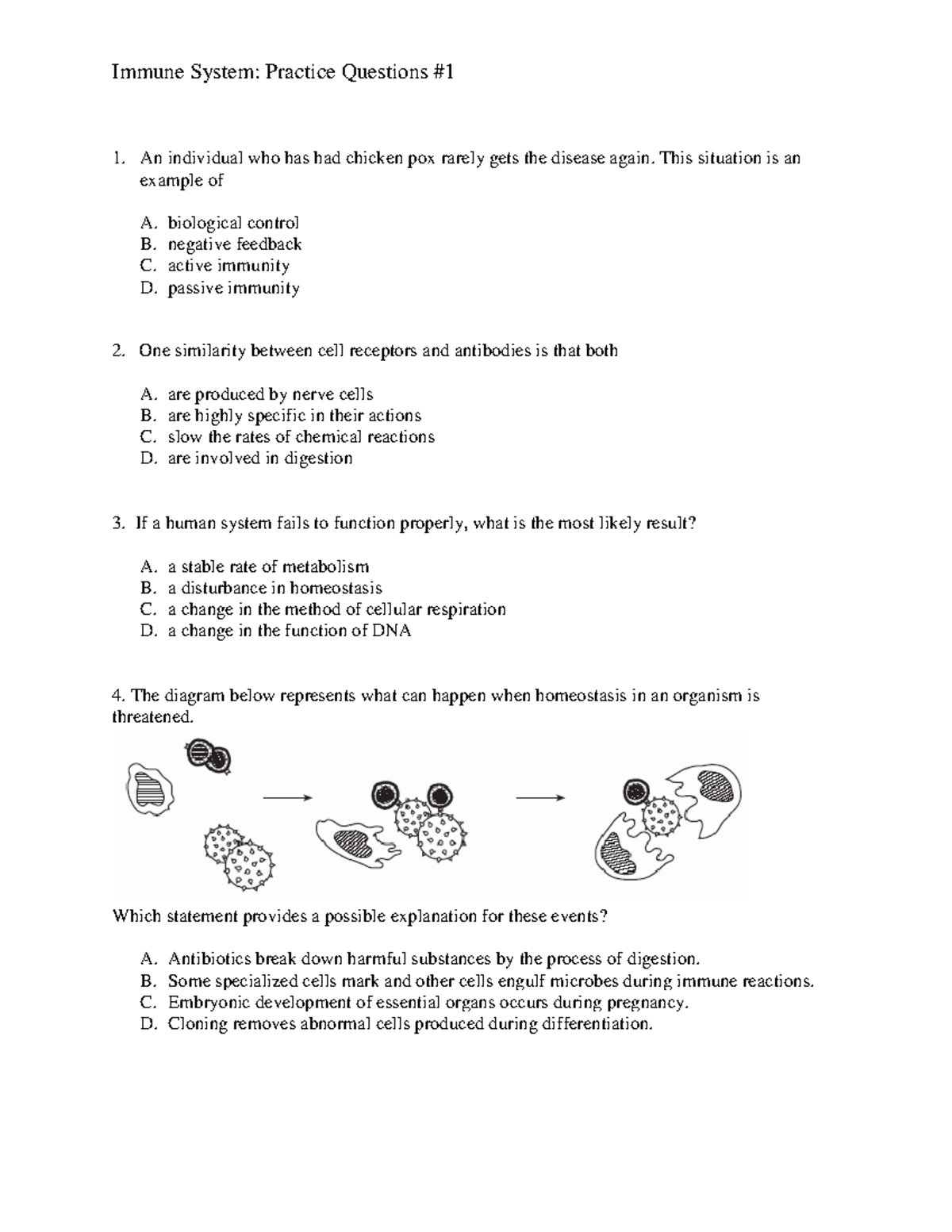 Practice Questions 1 Immune - Immune System: Practice Questions 1. An ...