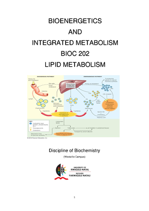 Amino acid metabolism tutorial 2 - TUT 1 BIOC202 Amino acid metabolism ...
