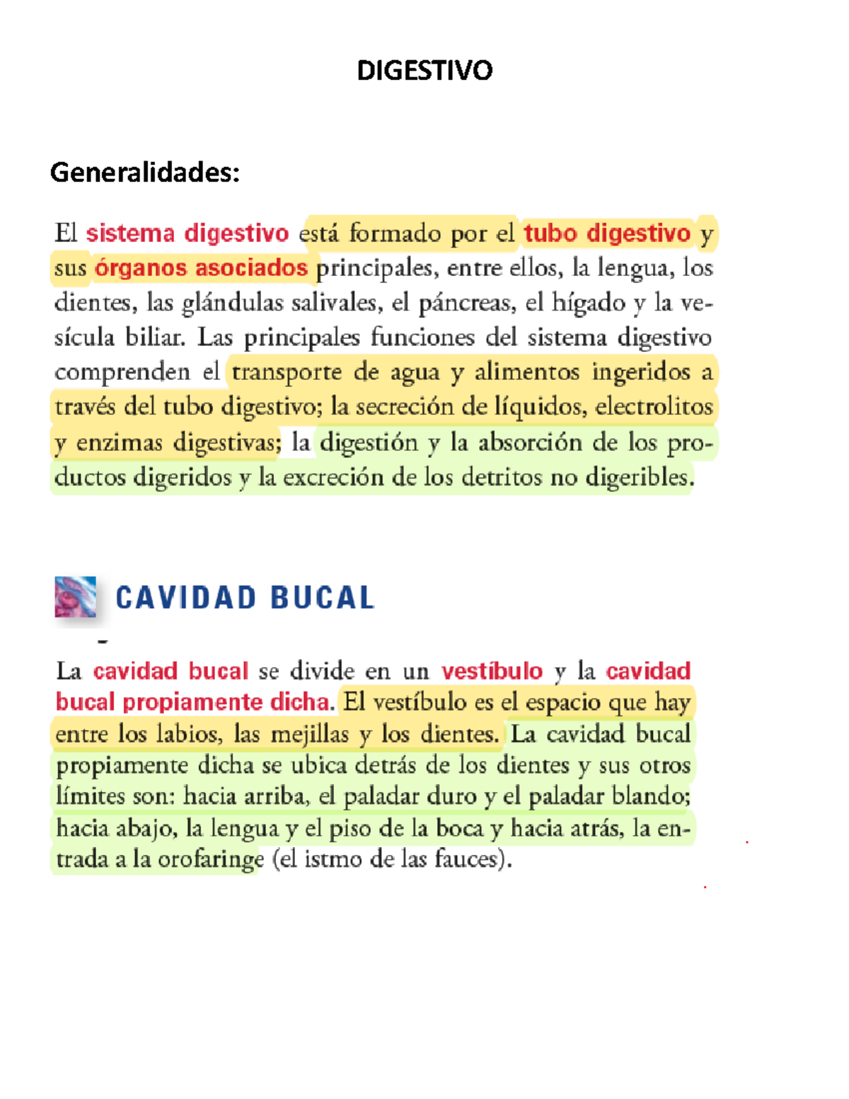 Digestivo - hfgh - DIGESTIVO Generalidades: Es un órgano muscular ...