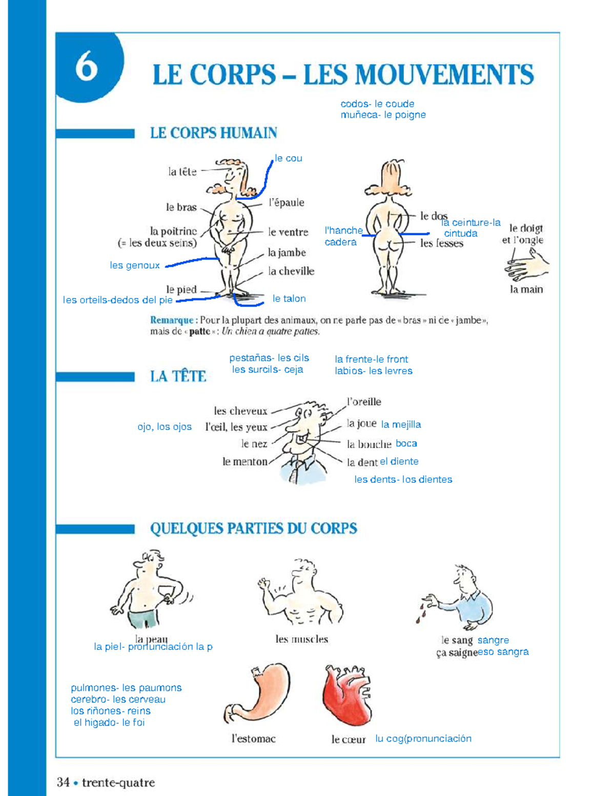 Le corps et la santé - Material para practicar vocabulario frances III ...